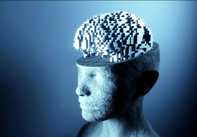 The Empty Brain – Productivity Hub
